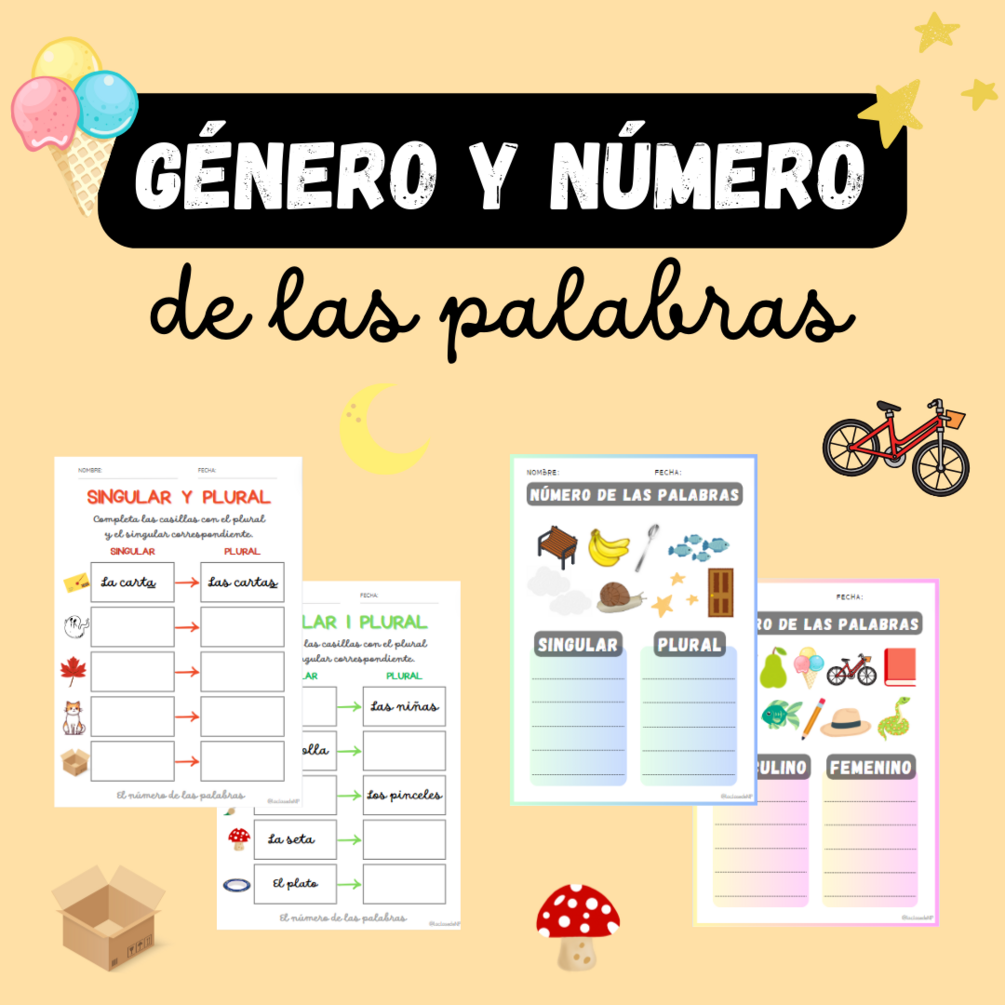 Género y número de las palabras