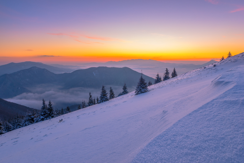 Malá Fatra - Osnica Wallpaper