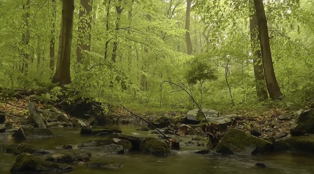 Guided Meditation for Deep Relaxation and Inner Peace: Find Calmness ...