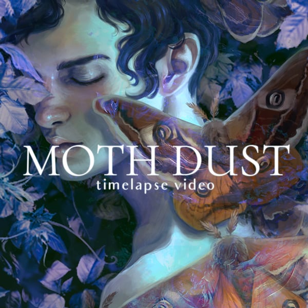 Moth Dust | Timelapse Video
