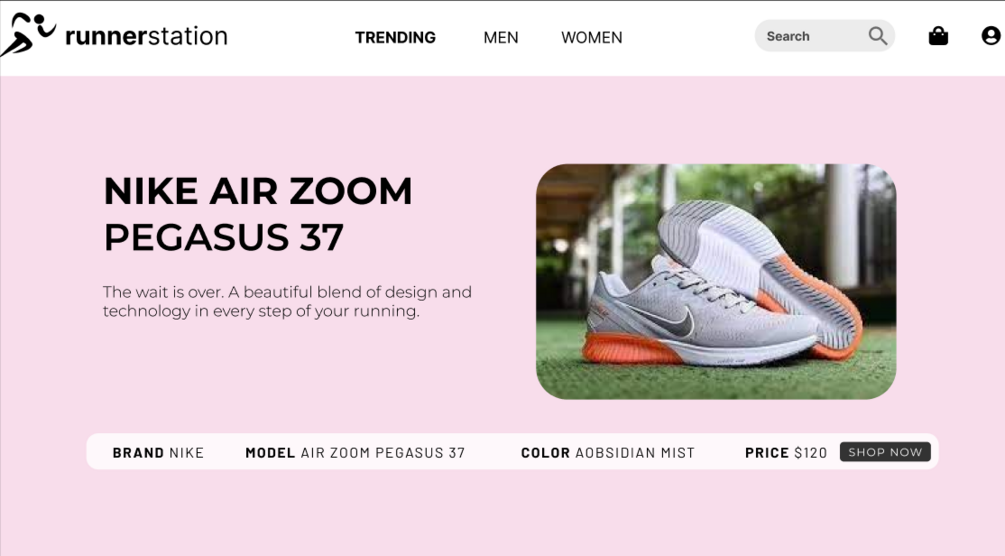 Nike Shoes Website Template