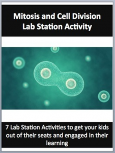 Mitosis and the Cell Cycle - 7 Engaging Lab Station Activities
