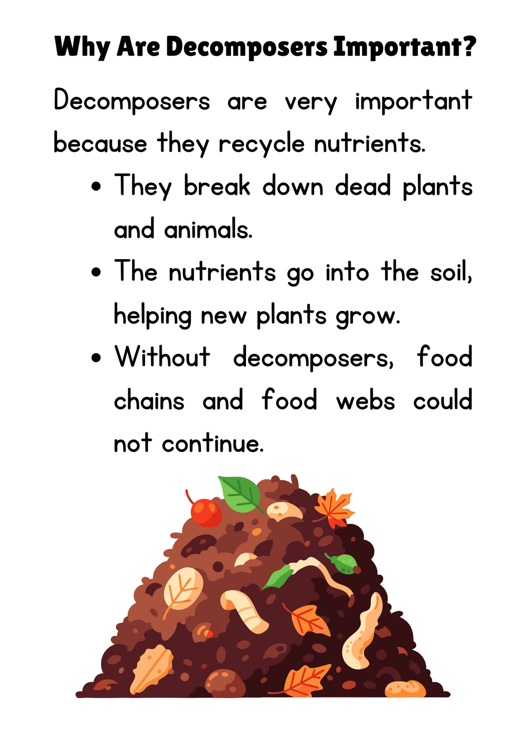 Food Chains & Food Webs Workbook | Science Activities for Kids ...