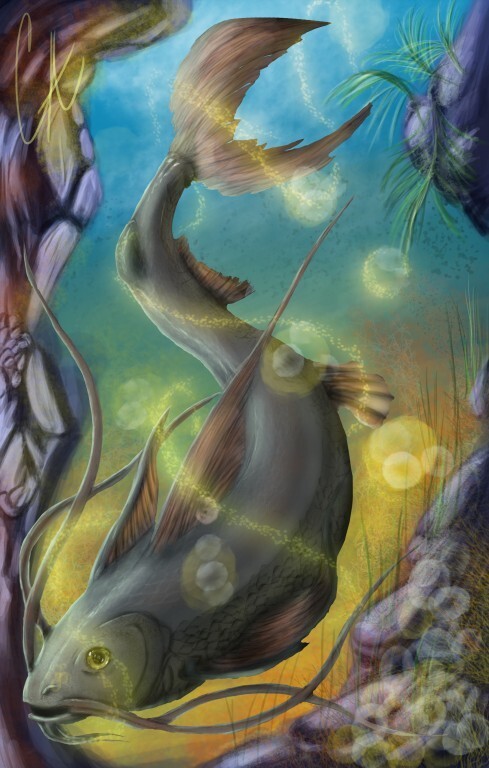 Magic Fish illustration