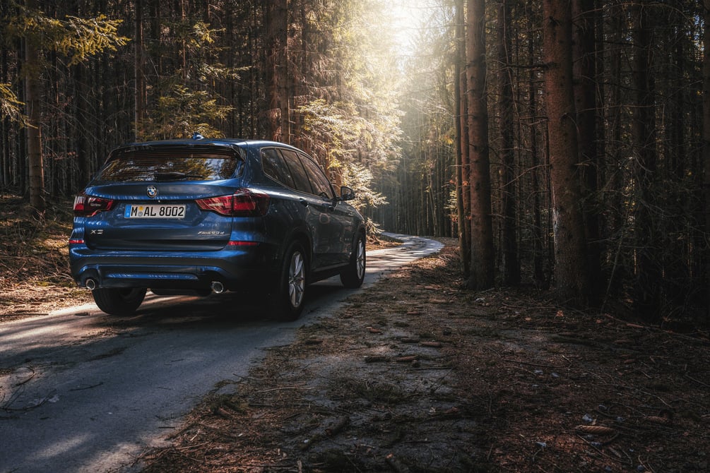 In The Woods / Forest HDRi + backplates