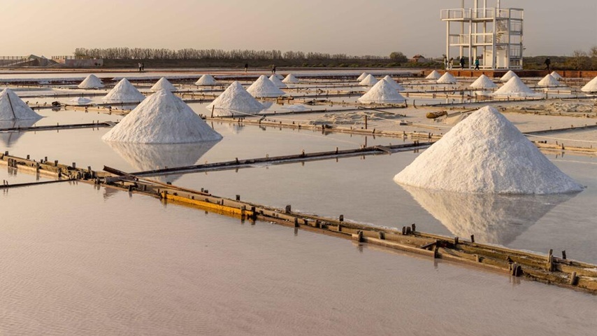 How Salt is Made: The Complete Guide to Salt Manufacturers in India