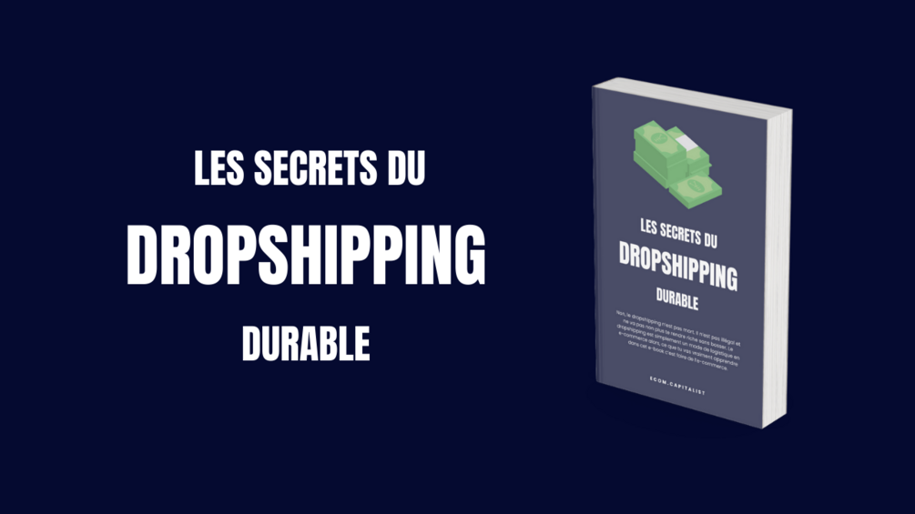 Les secrets du dropshipping durable
