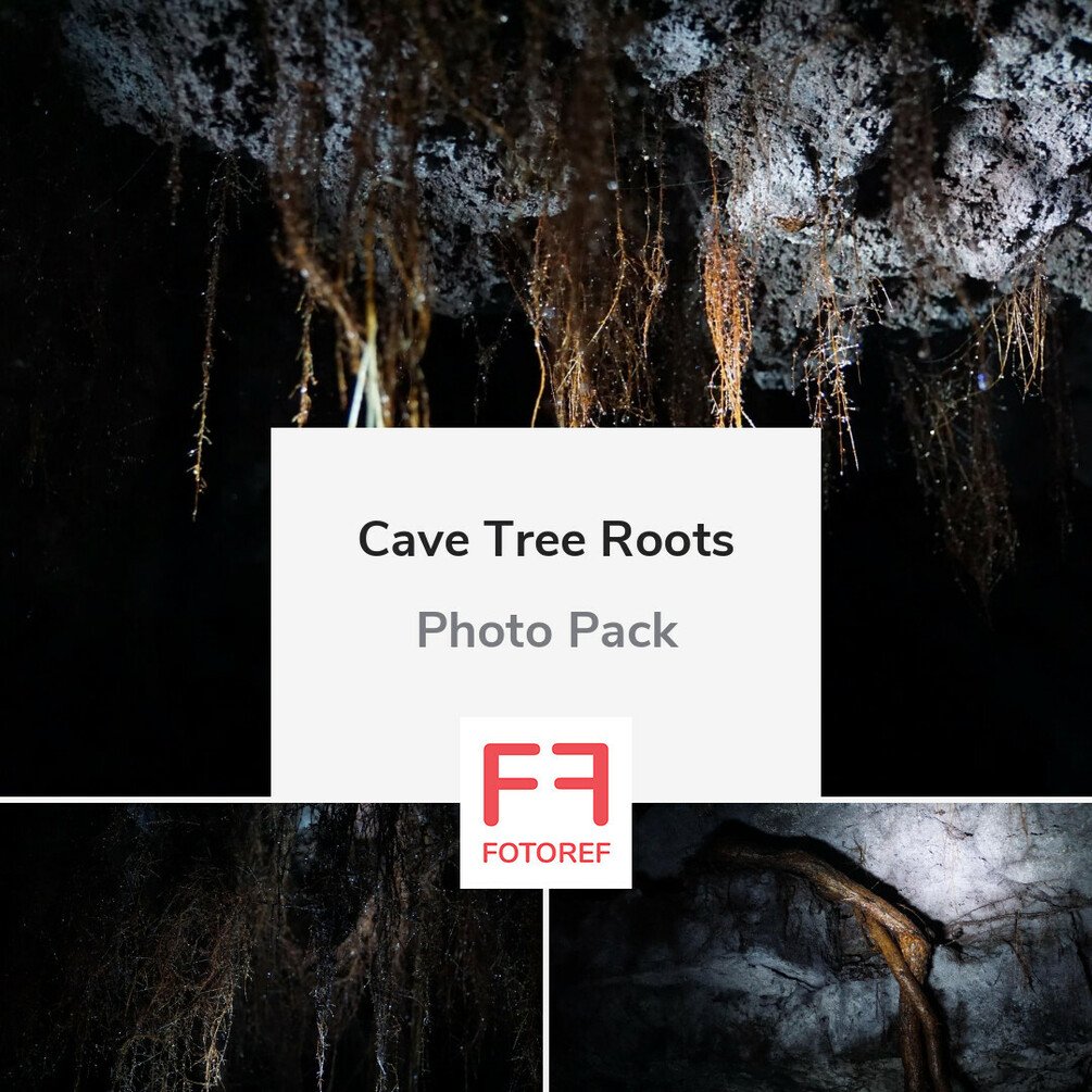 200 photos of Cave Tree Roots