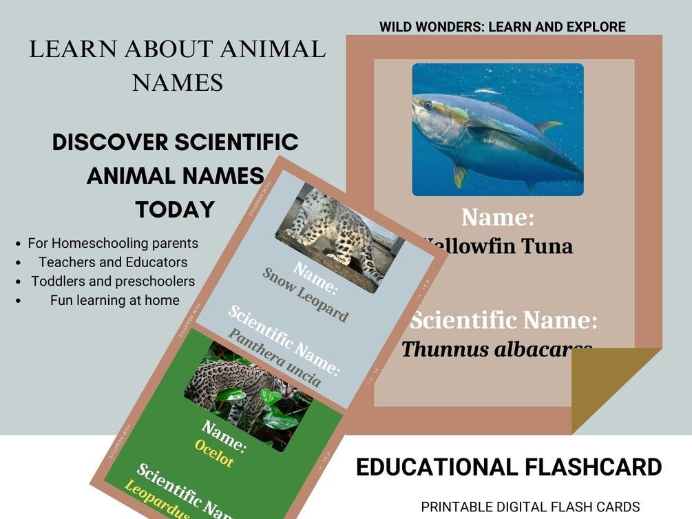 WILD WONDERS: LEARN & EXPLORE