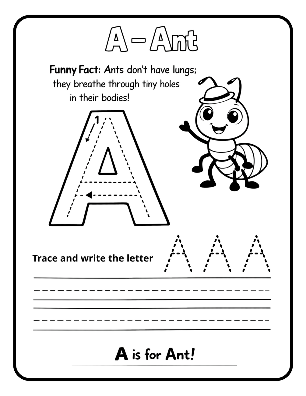 Funny Animals A–Z Alphabet Activity Book for Kids