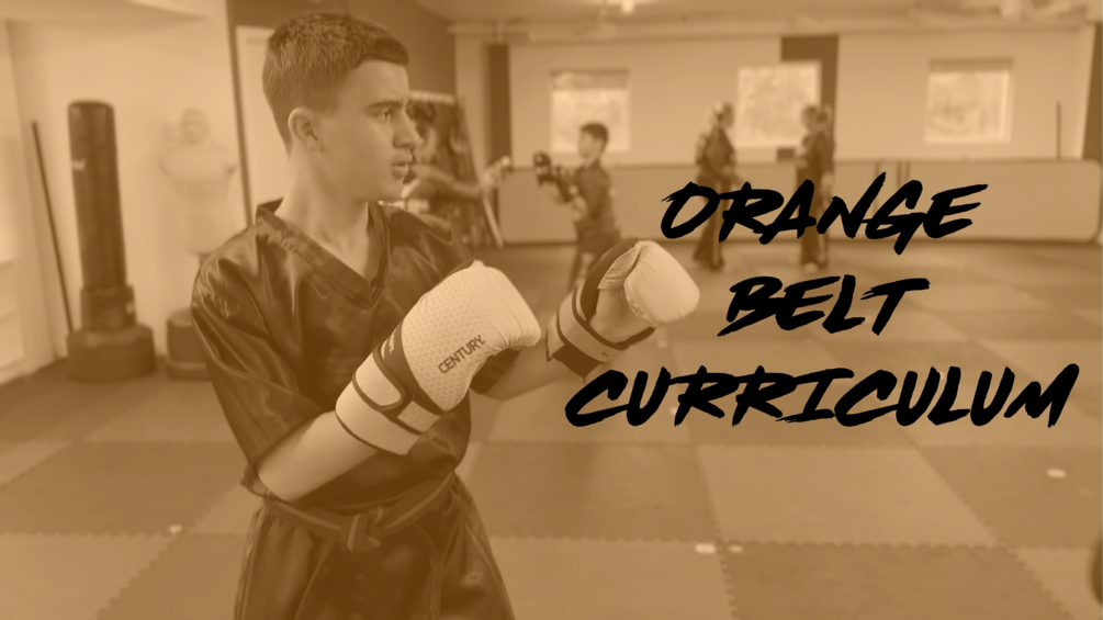 Orange Belt Curriculum