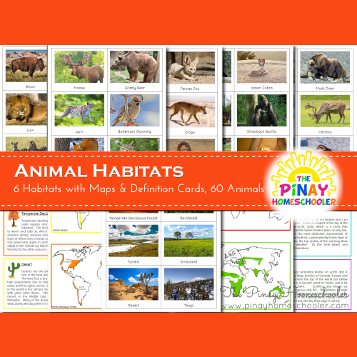 Animal Habitats (Sorting Cards)