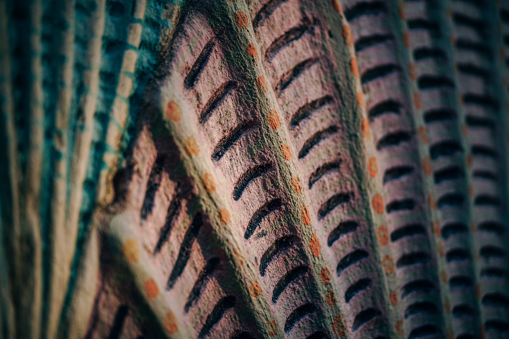 Seashell Wall Carving Photograped in Low Light (6000 x 4000px)