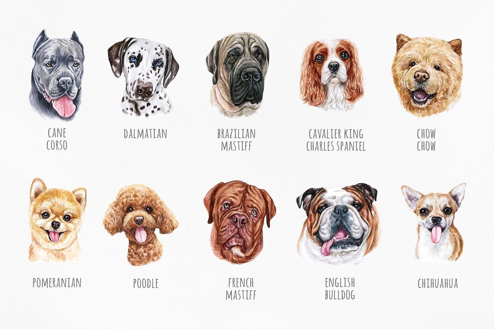 Watercolor Dog Breeds Clipart Set - Free Commercial Use