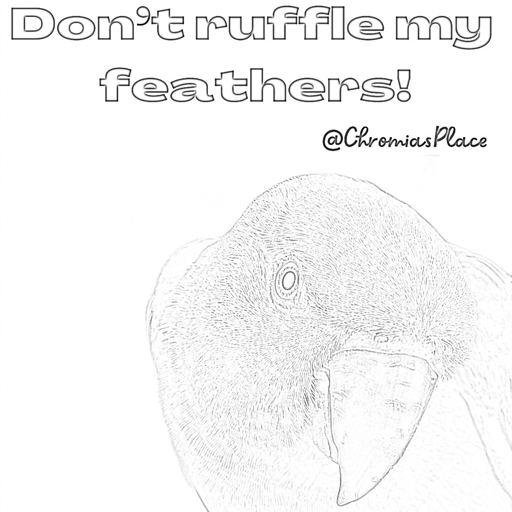 Don’t Ruffle My Feathers Printable