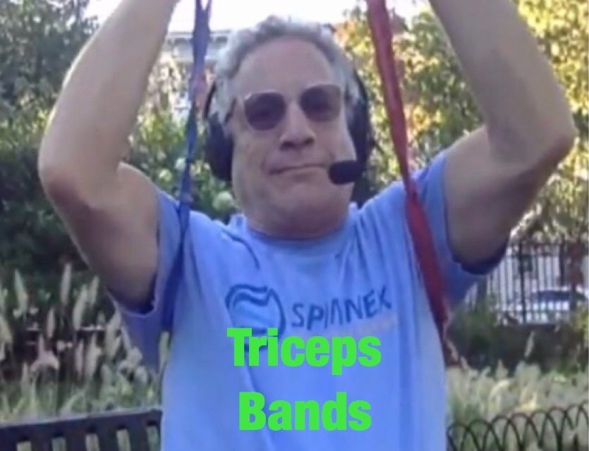 #4A) VIDEO DOWNLOAD: Level 2- Triceps With Bands