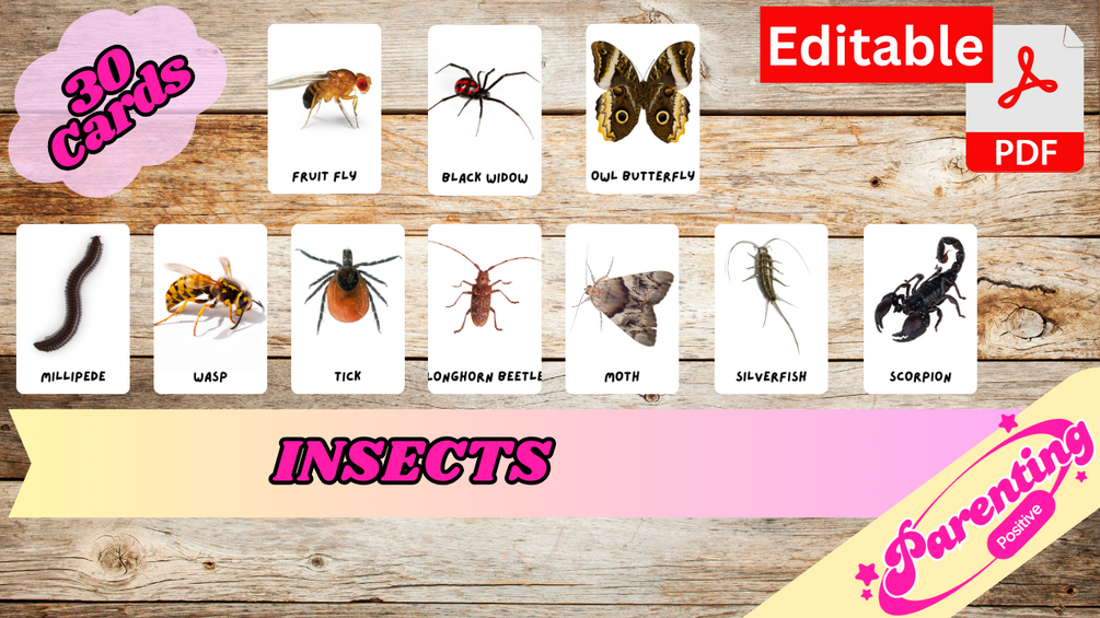 INSECTS • 30 Editable Montessori Cards • Flash Cards Nomenclature ...