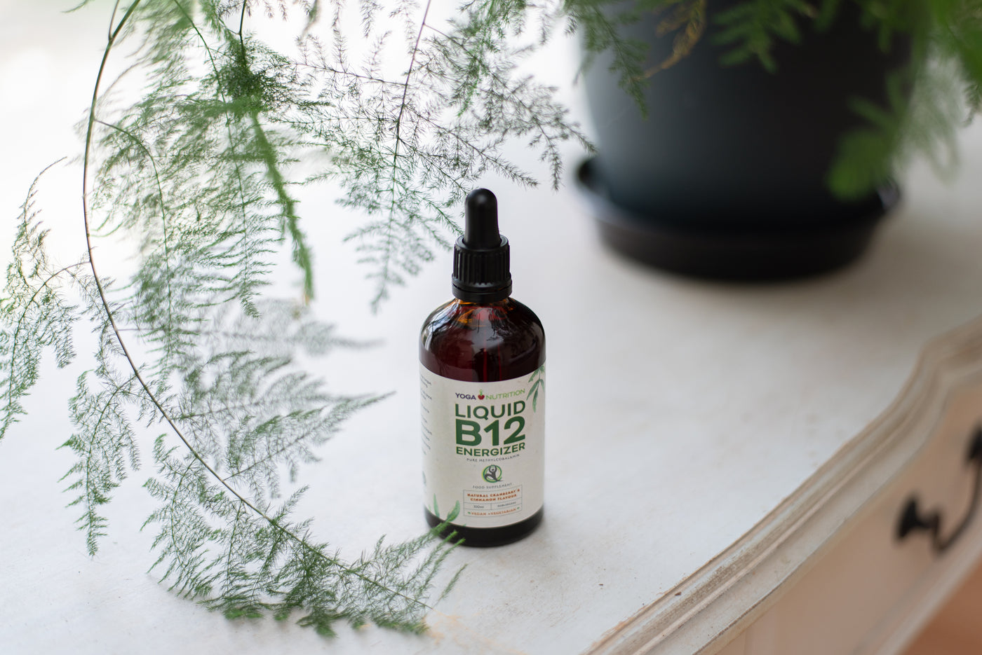 Yoga Nutrition: Ethically Sourced Shilajit, Yoga-Flex, and Liquid B12