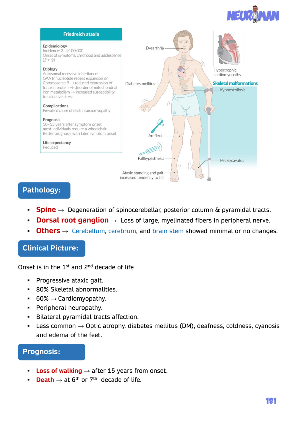 Neurology Notes