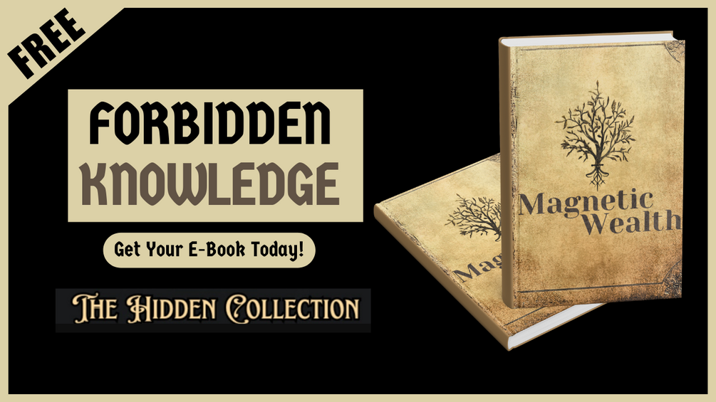 Magnetic Wealth — Get Your eBook For FREE!