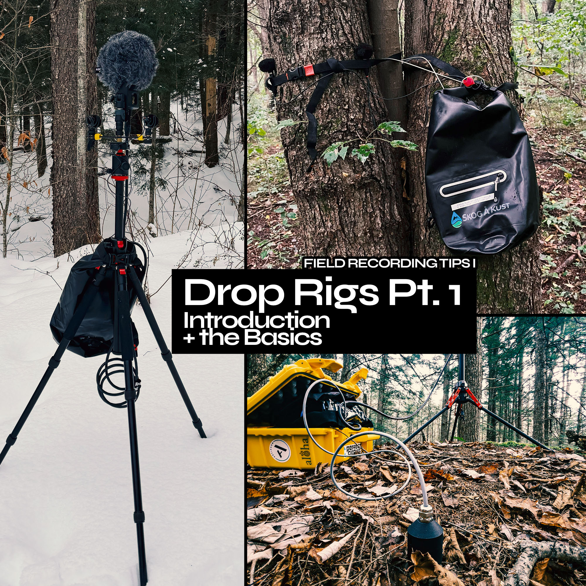 All about Drop Rigs for Field Recording - BØLT