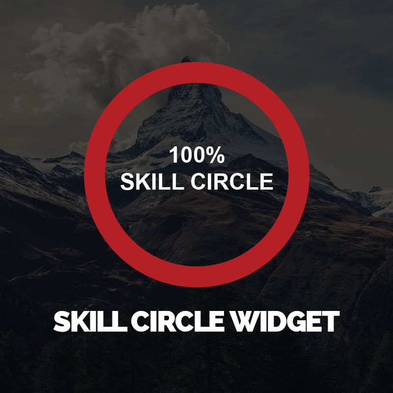 Skill Circles Adobe Muse Widget