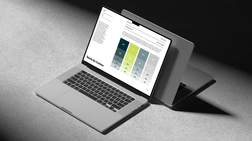 Brand Guidelines Verti