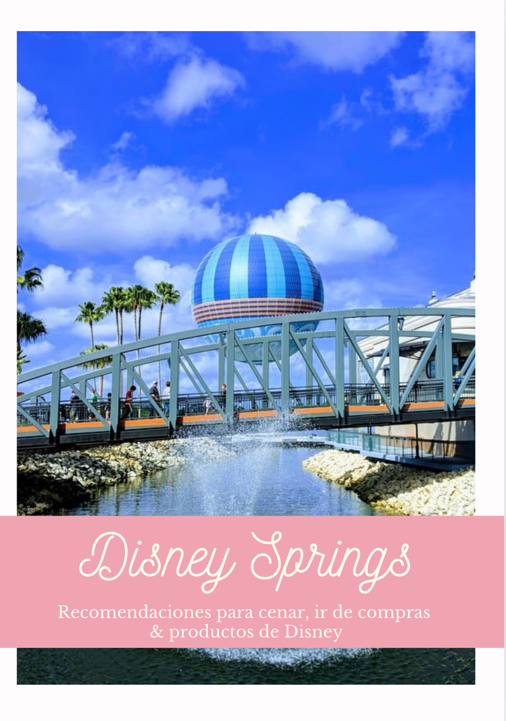 Disney 🛍️Spring Guía