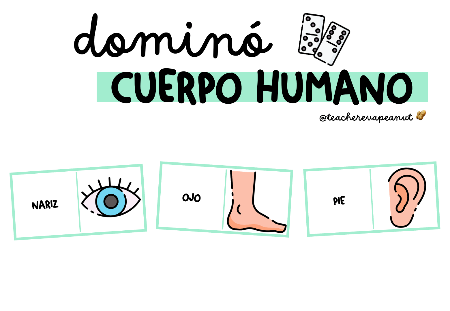 DOMINO 🀄️ El cuerpo humano - Teacher Eva Peanut 🥜