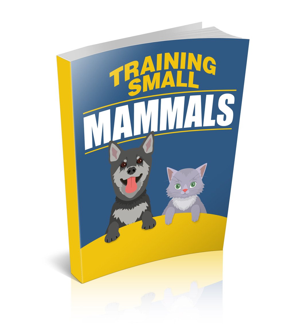 Training Small Mammals