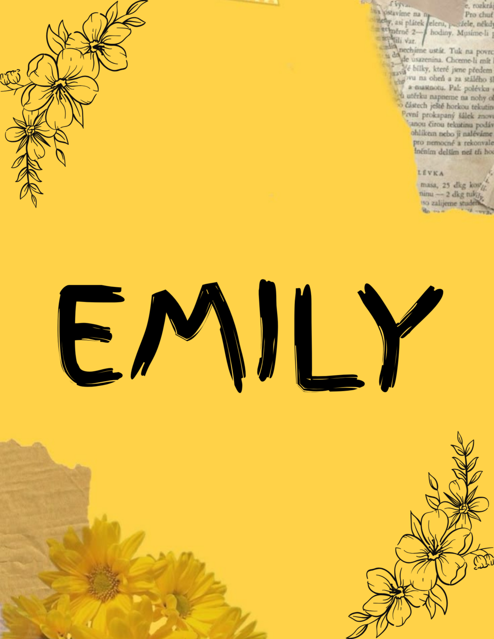EMILY’S Notebook _Your Moments Deserve to Be Written