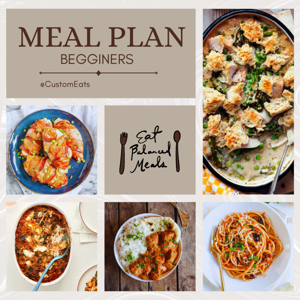 MEAL PLAN FOR BEGGINERS