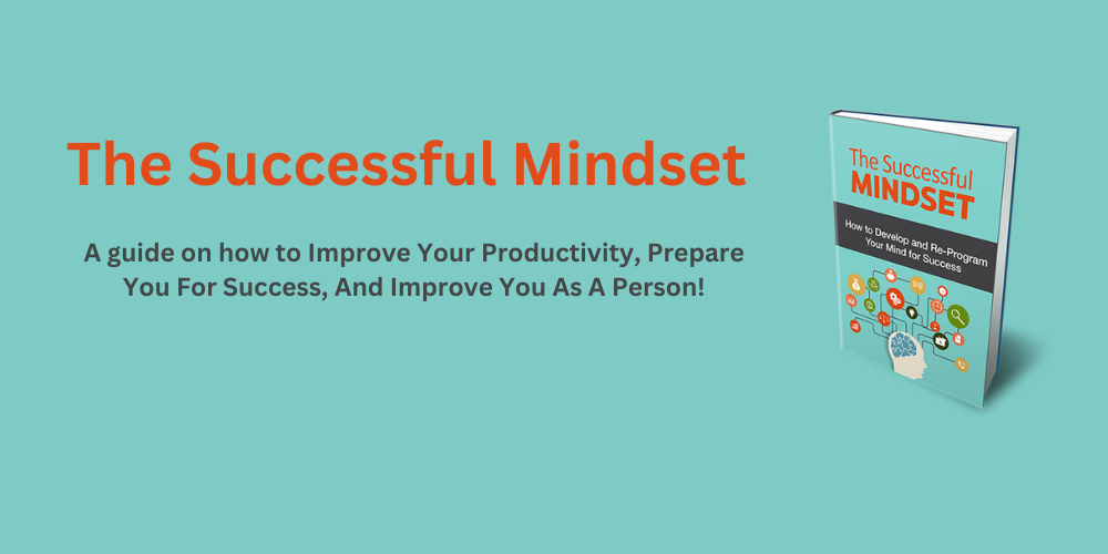 The Successful Mindset