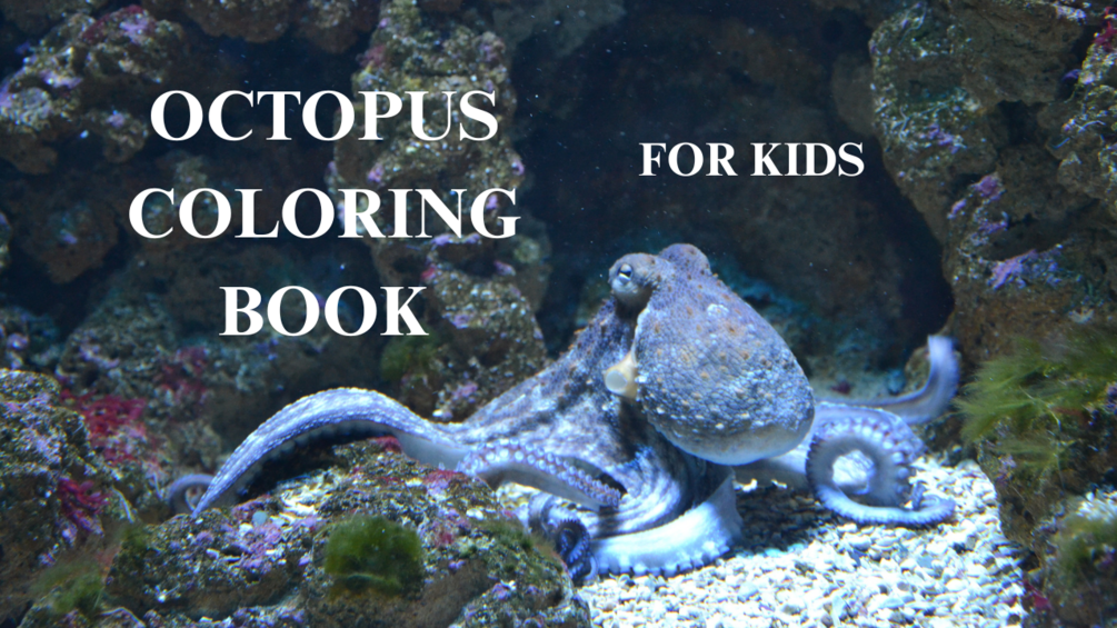 Octopus Coloring Book