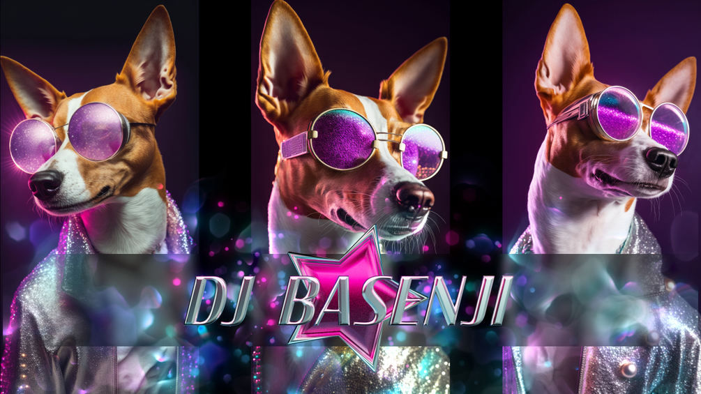 Basenji Photo Session