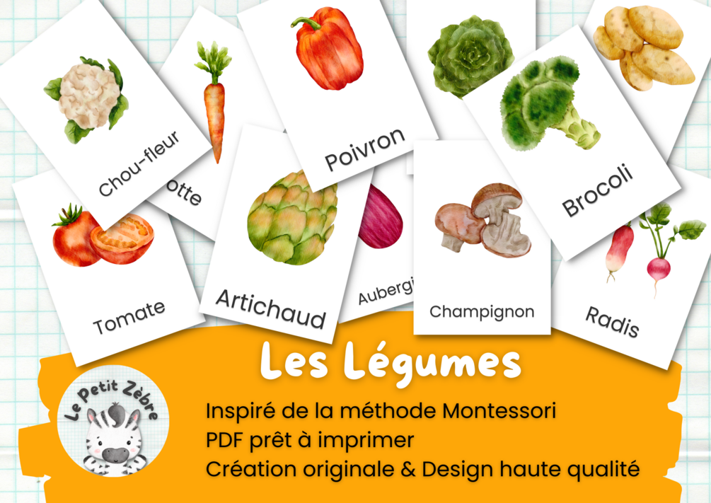 22 CARTES EDUCATIVES LEGUMES