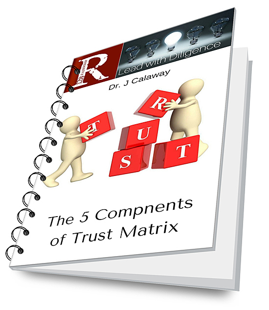 5 Components of Trust Matrix