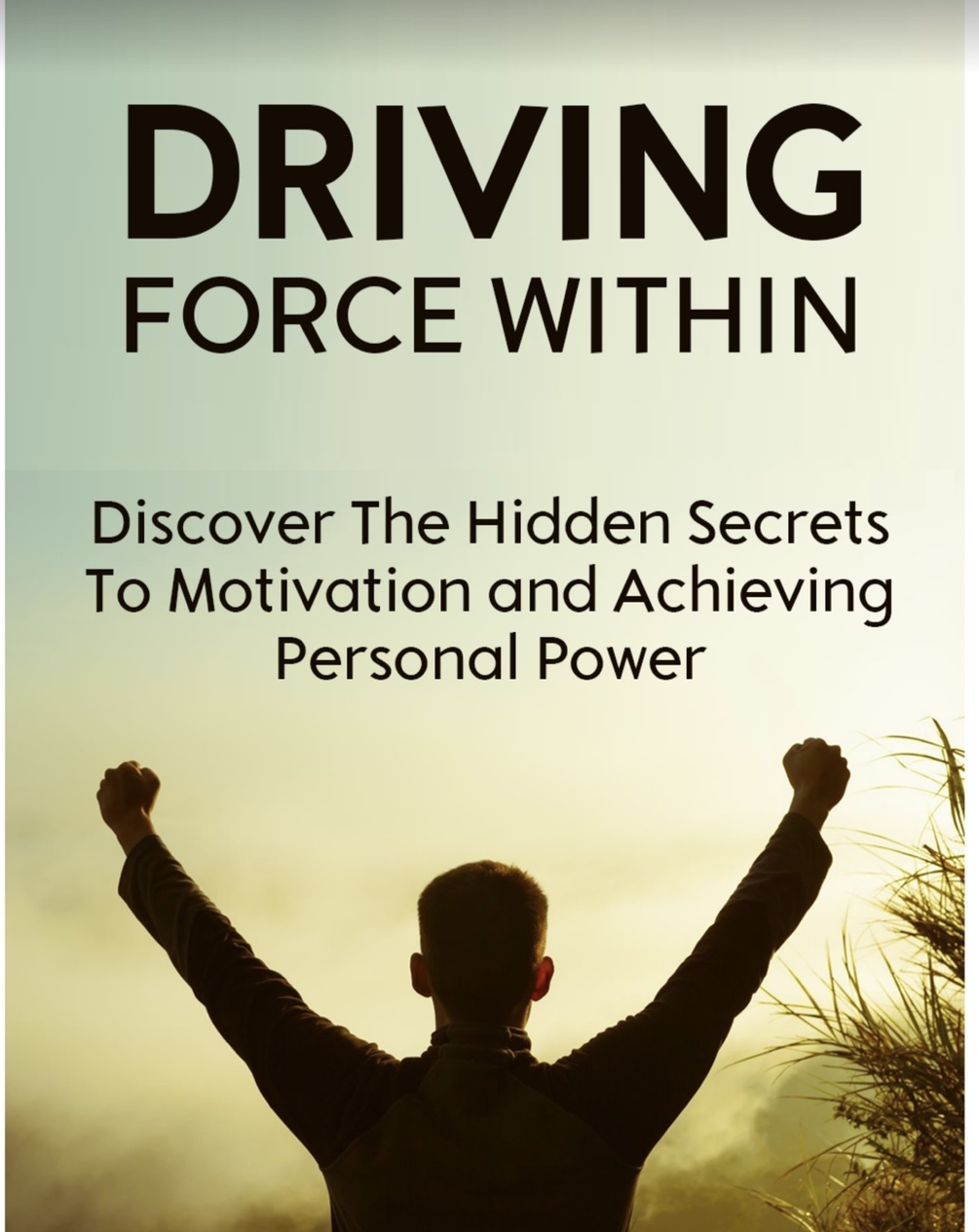 Driving Force Within: Discover The Hidden Secrets To Motivation and ...