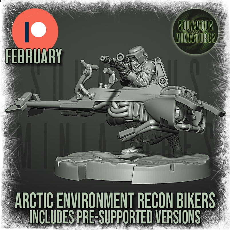 ARCTIC ENVIRONMENT RECON BIKERS