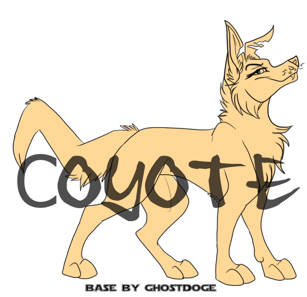 Coyote base