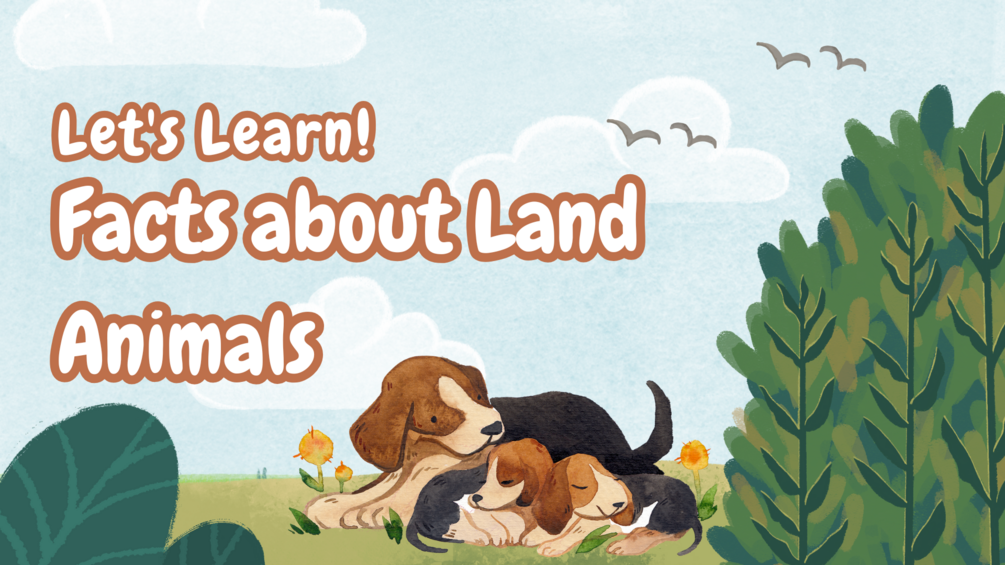 Facts about Land Animals