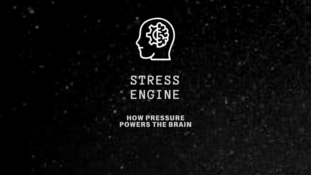 Stress Engine | Guide How To Use The Stress In Your Favor
