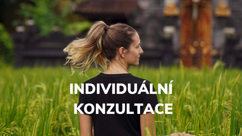 INDIVIDUÁLNÍ KONZULTACE + EBOOK ZDARMA