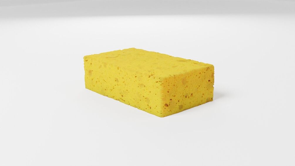 (FREE PRODUCT) Sponge 3D Model