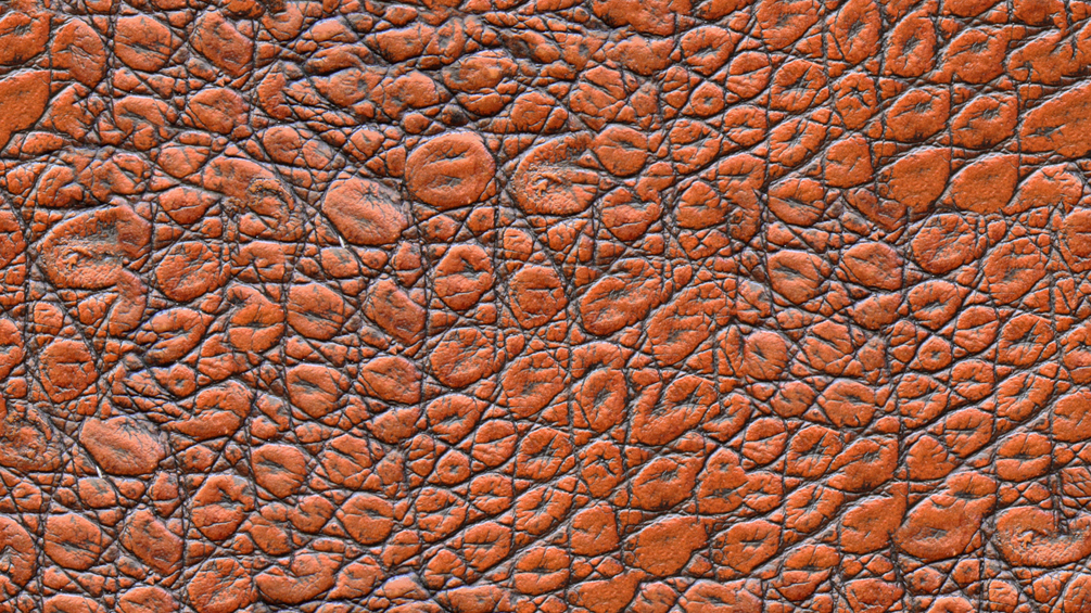 (FREE PRODUCT) Animal Skin Textures 1k 2k 4k