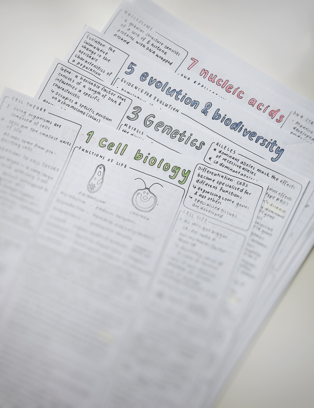 IB Biology HL Summary Notes CHEAT SHEETS