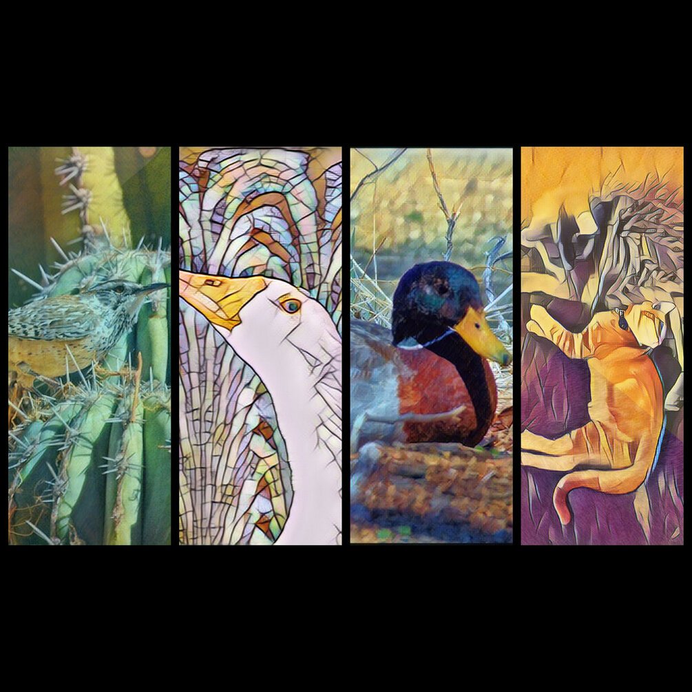 Creative 4 Phone Wallpaper Set 05210422 (Android)