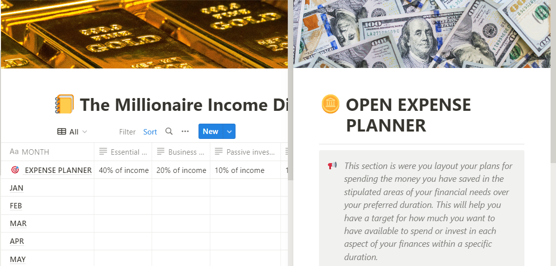 The Millionaire Income Distribution Template