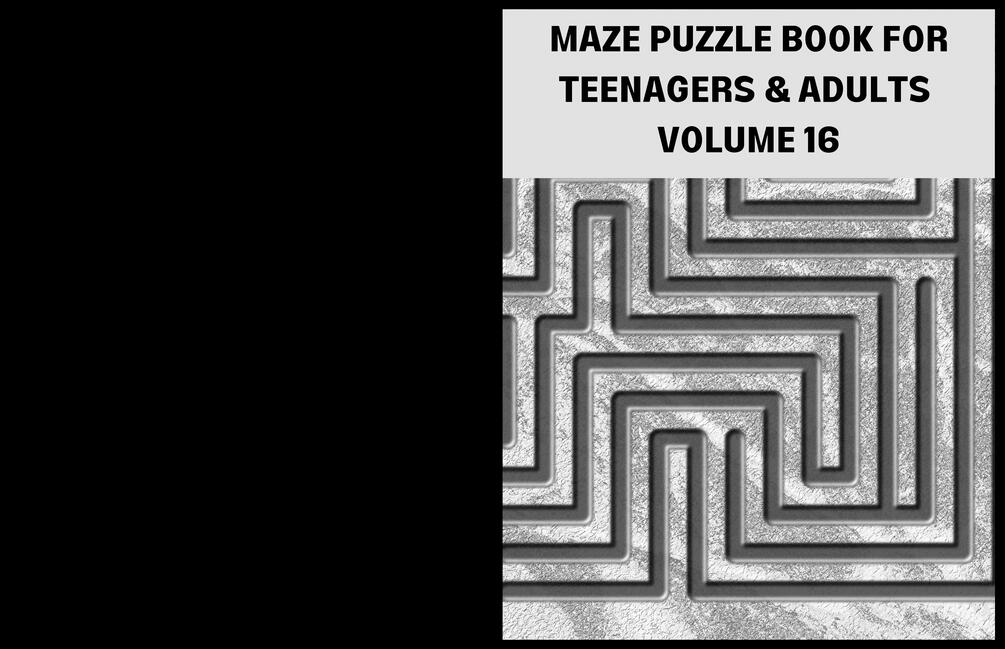 MAZE PUZZLE BOOK FOR TEENAGERS AND ADULTS VOLUME 16