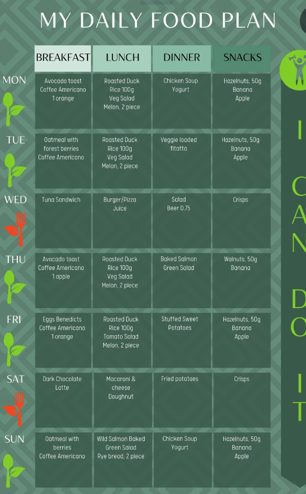 Daily food plan